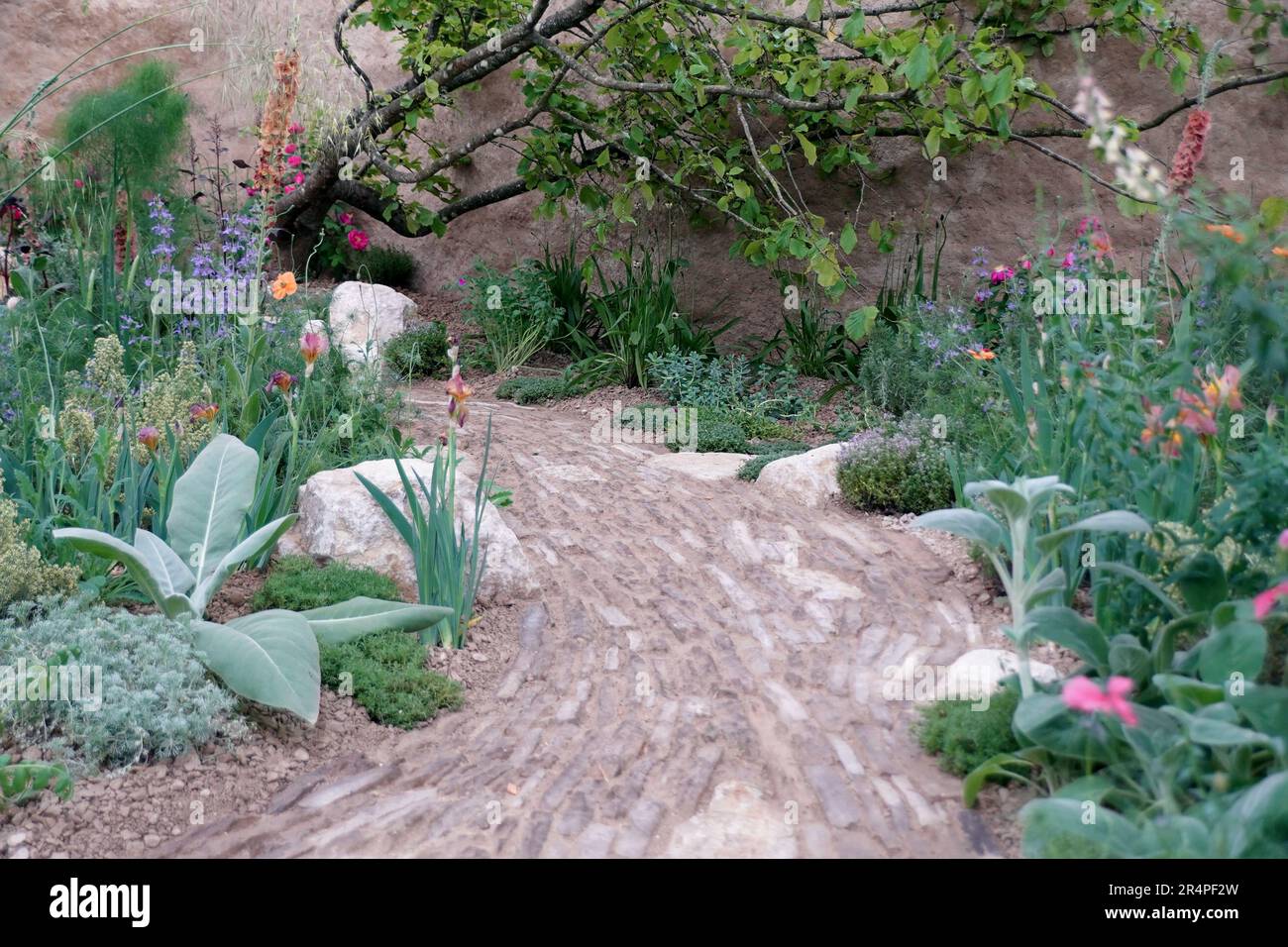 The award winning gardens at the Chelsea Flower Show 2023 including the ...