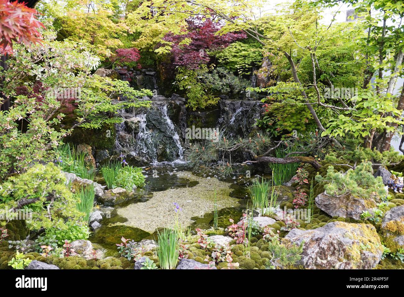 The award winning gardens at the Chelsea Flower Show 2023 including the ...