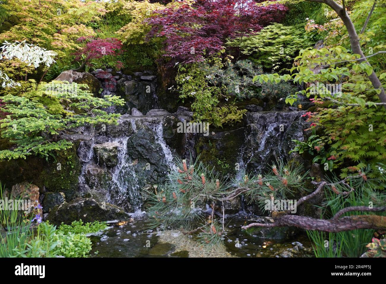 The award winning gardens at the Chelsea Flower Show 2023 including the ...