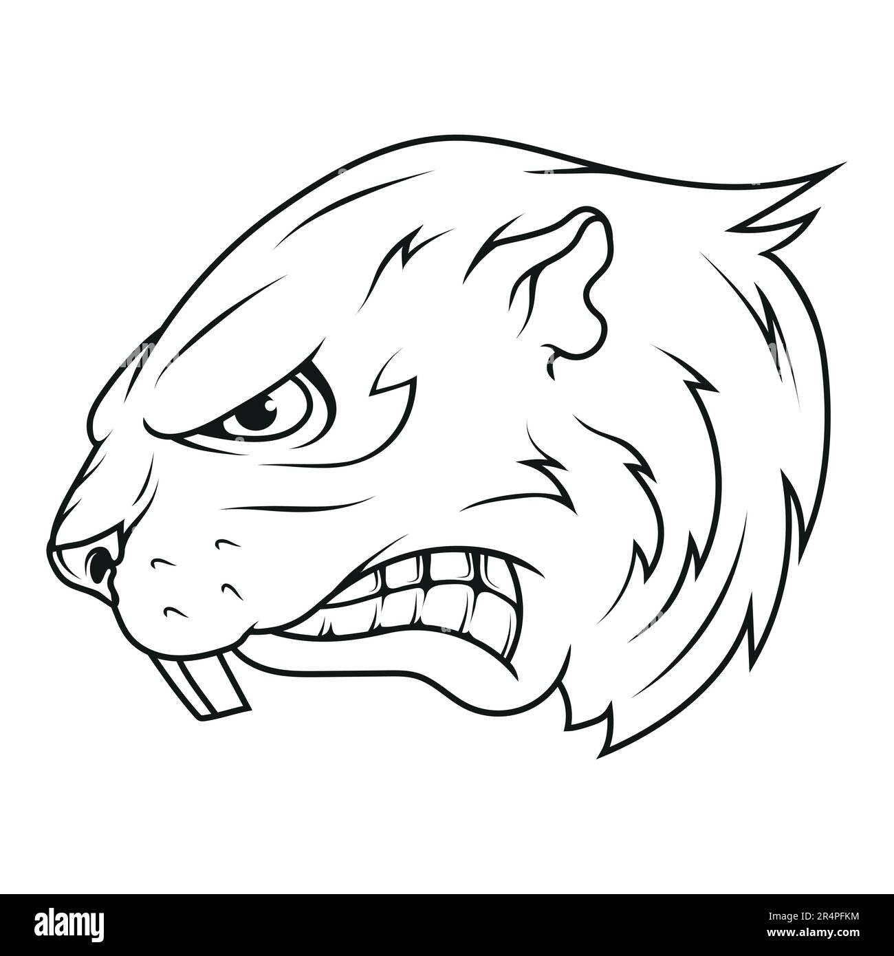 Beaver's tail Stock Vector Images - Alamy