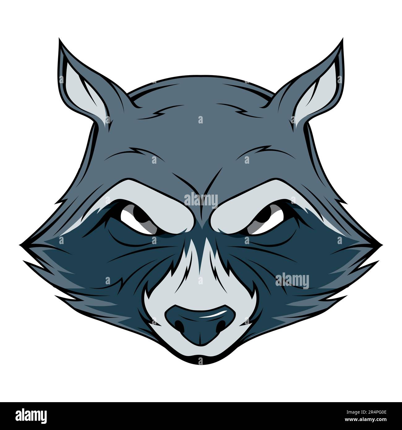 Evil raccoon. Vector illustration of a coon aggressive. Funny animal ...