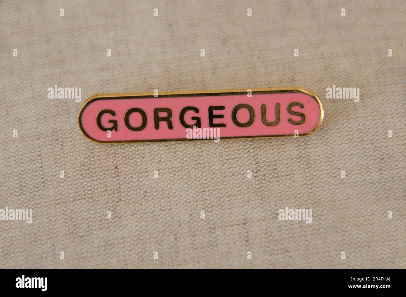 Gorgeous metal pin badge, the wearer is clearly gorgeous when they wear ...