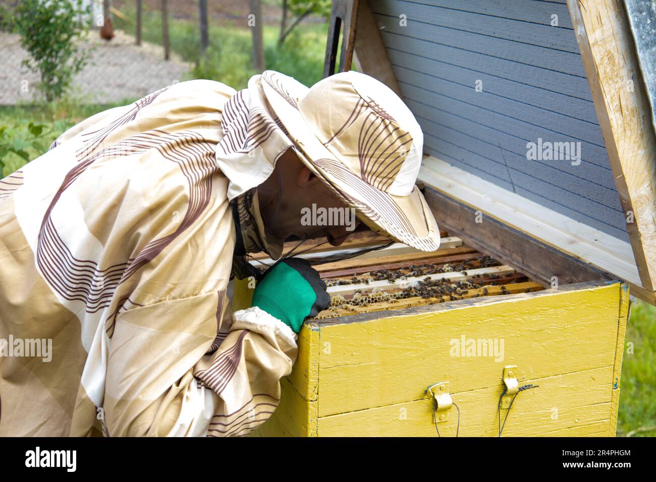 Beekeeper checking hives in hi-res stock photography and images - Alamy