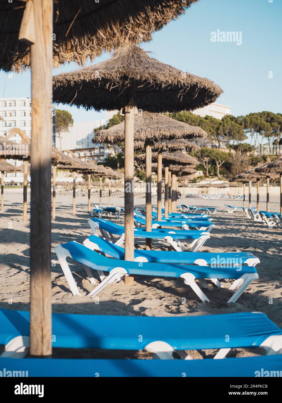 Blue sunbeds and straw umbrellas on a touristic beach Stock Photo - Alamy