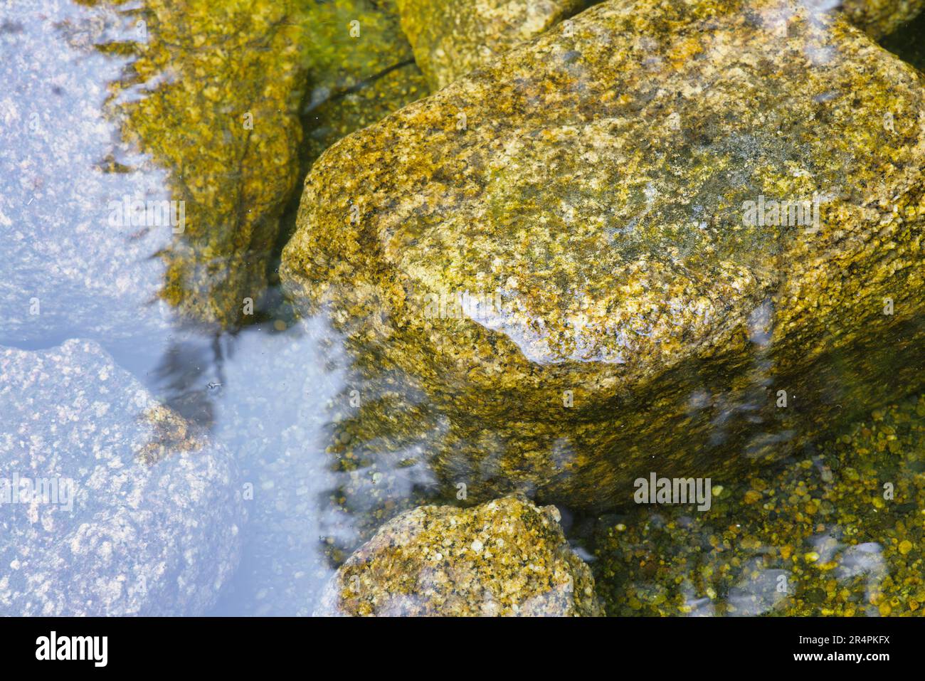 picture of rocks under the water surface of a pond Stock Photo - Alamy