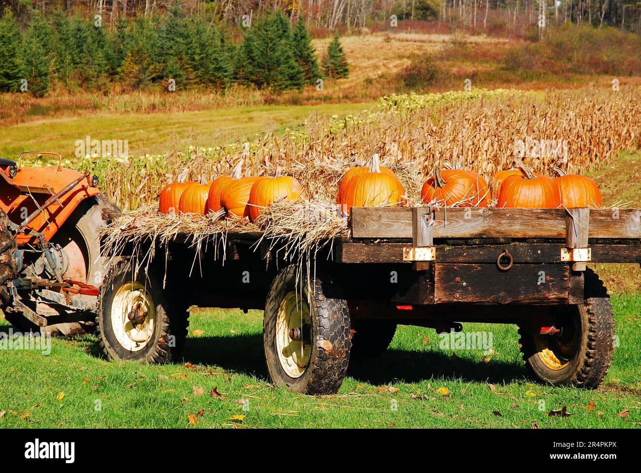 A wooden tractor carries autumn pumpkins and the fall harvest bounty on ...