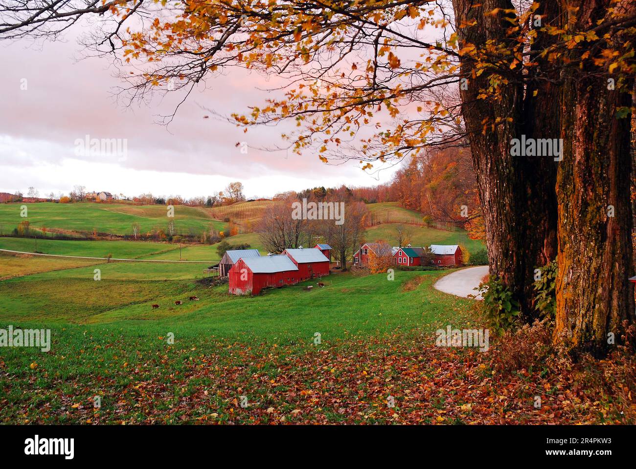Jenne hi-res stock photography and images - Alamy