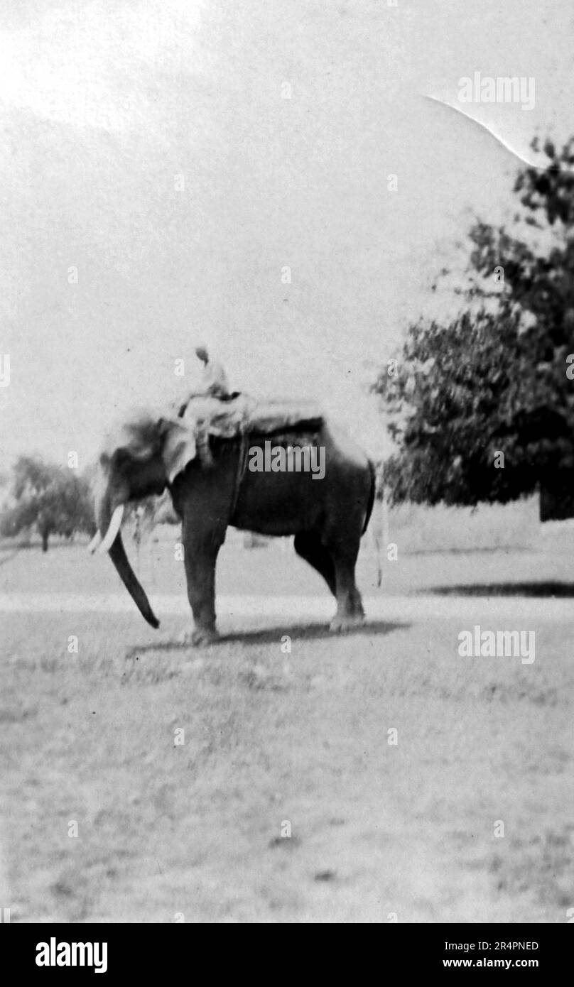 Southern India, parts of which are now known as Pakistan: Native on an ...