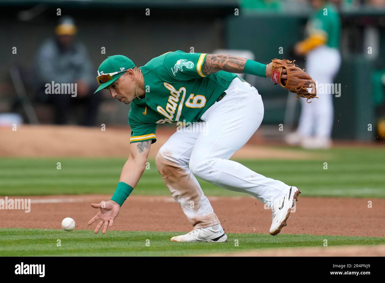 Oakland Athletics' Jace Peterson during a baseball game against the ...