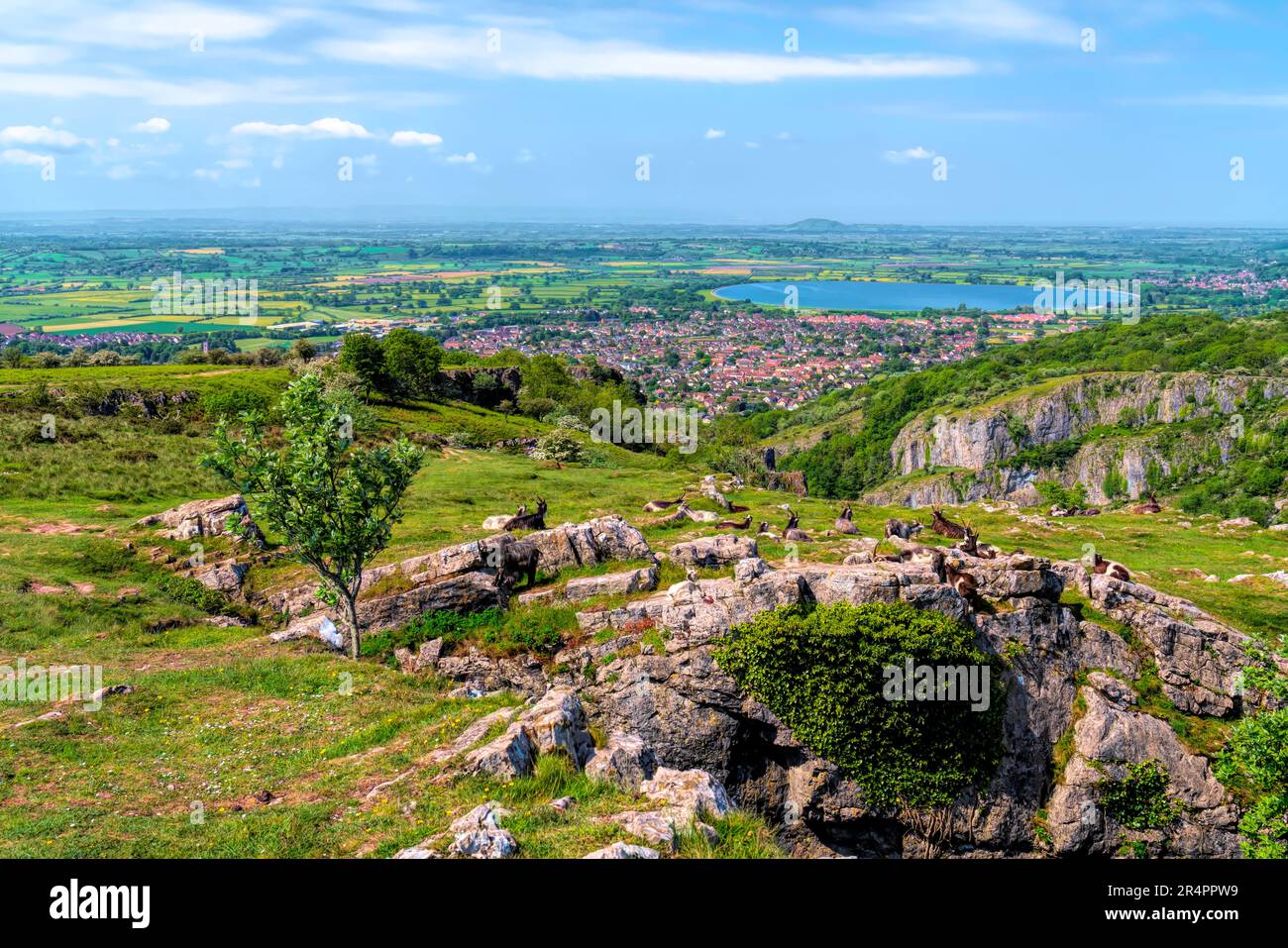 Cheddar Gorge view with wild goats towards Cheddar Reservoir Somerset ...
