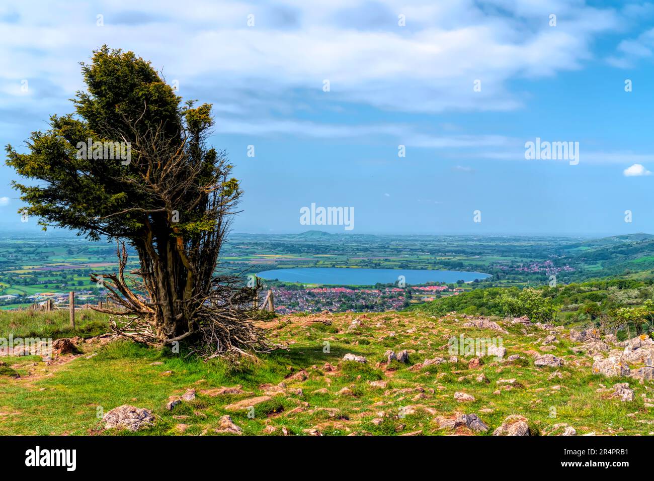 Tree and rocks on top of Cheddar Gorge view towards Cheddar Reservoir ...