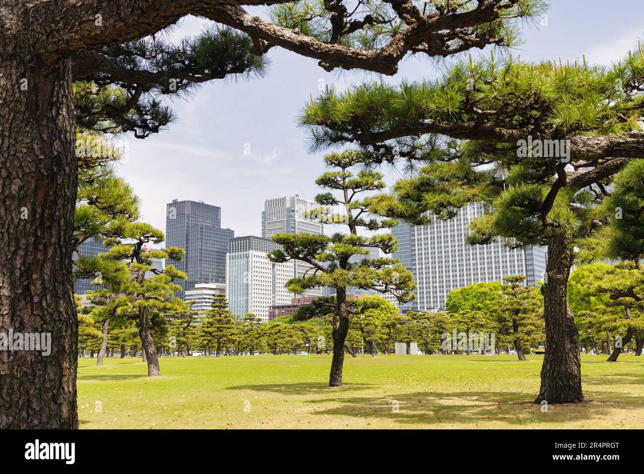 Kokyo Gaien National Garden, the outer gardens of the Imperial Palace ...