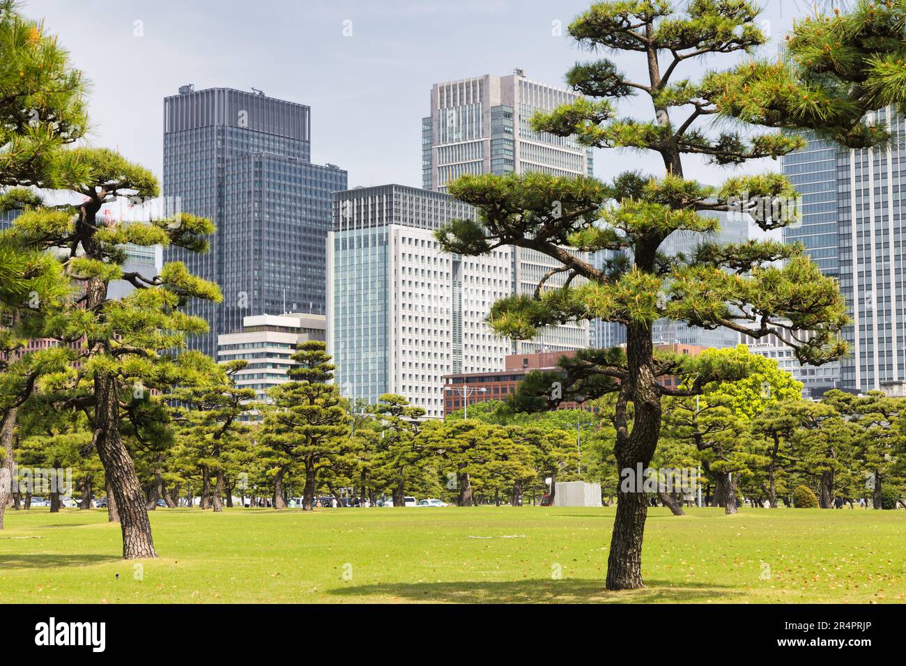 Kokyo Gaien National Garden, the outer gardens of the Imperial Palace in Tokyo, Japan, with ...
