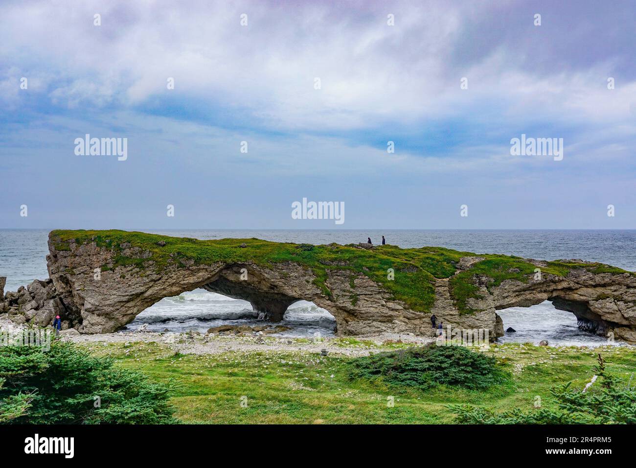Newfoundland, Canada: The Arches Provincial Park, rock formations ...