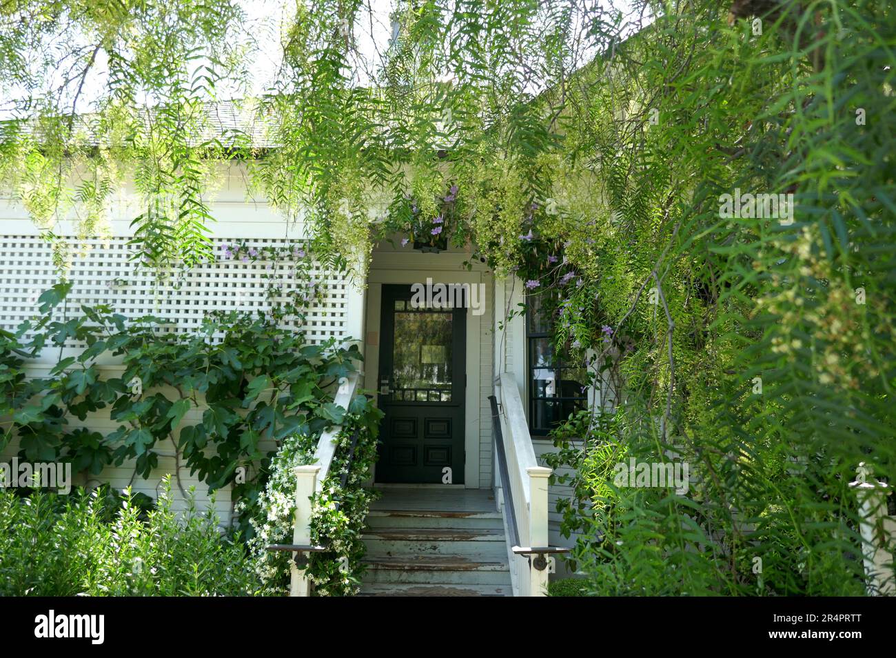 Harry megan king hi-res stock photography and images - Alamy