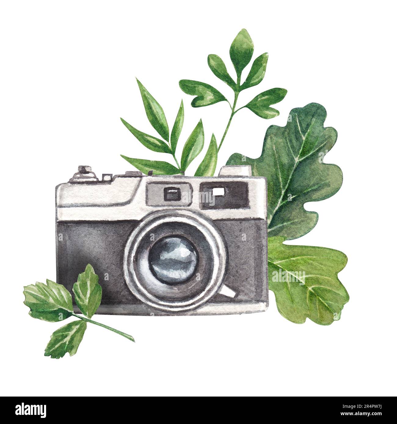 Old camera in the grass and leaves. Watercolor hand drawn illustration ...