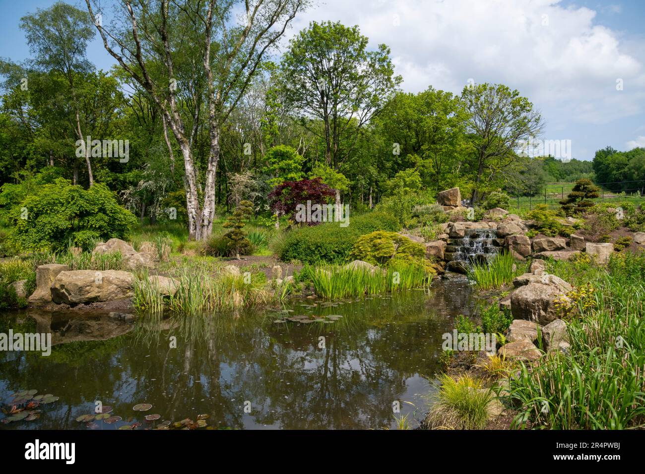 Chinese rock garden hi-res stock photography and images - Alamy