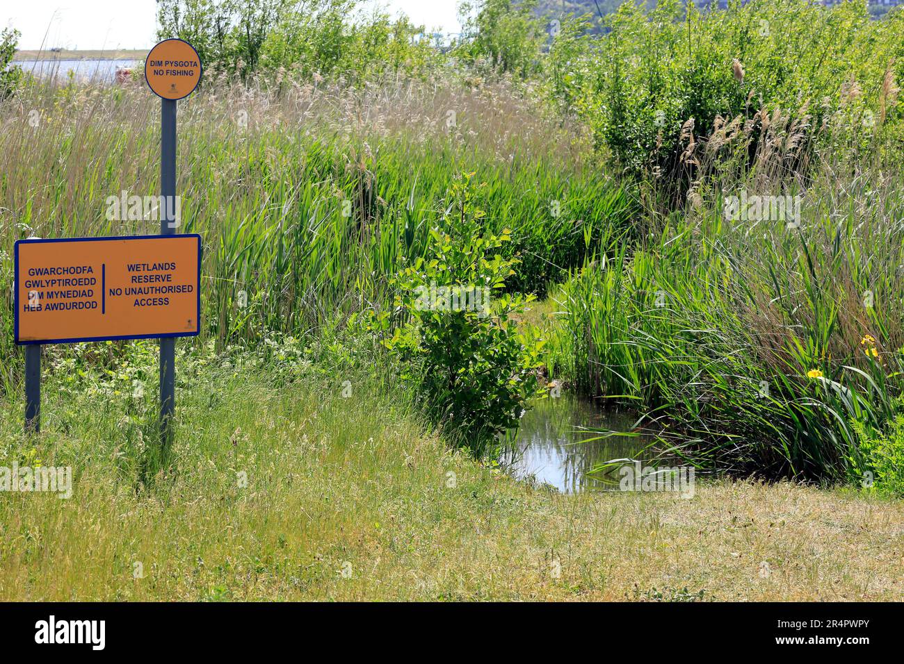 Cardiff Bay Wetland Nature Reserve. May 2023. Summer. cym Stock Photo ...