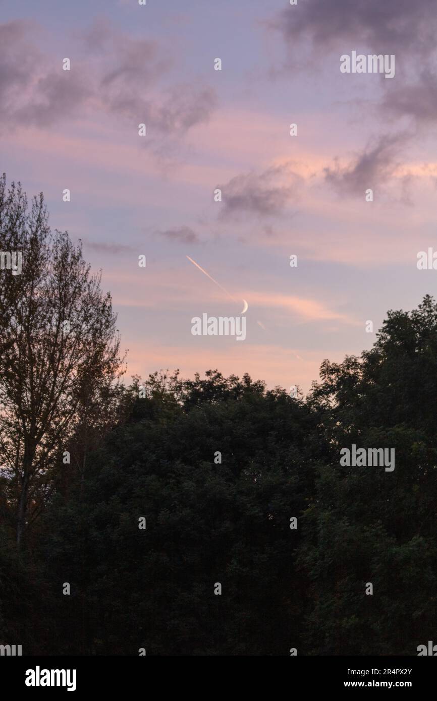 Plane contrail sunset hi-res stock photography and images - Alamy