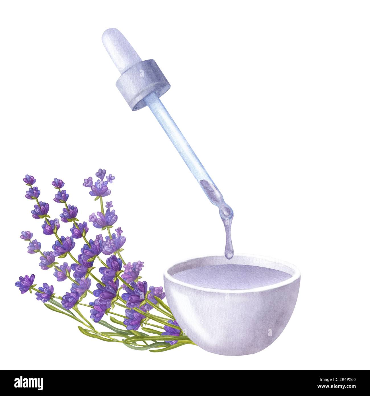 Violet essential oil dripping from pipette bowl , bouquet lavender ...