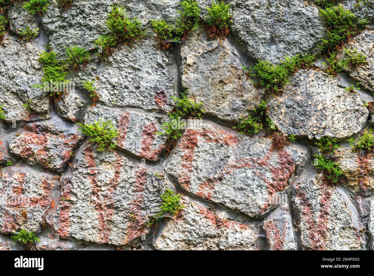 Background, pattern. Rustic natural stones wall with green moss and ...