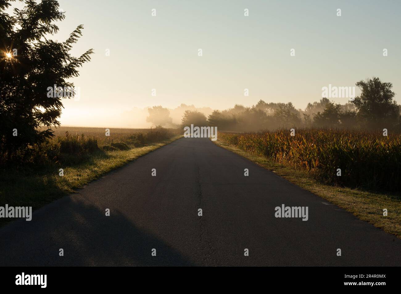 The road, which at the bend is illuminated by sunlight. It represented ...