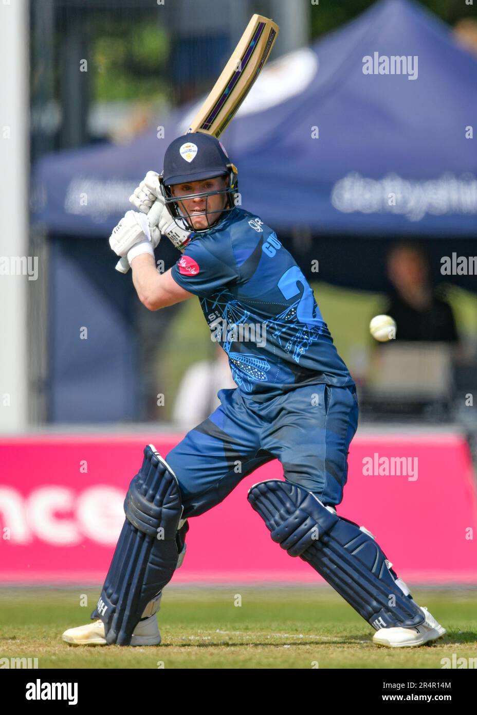 Brooke guest hi-res stock photography and images - Alamy