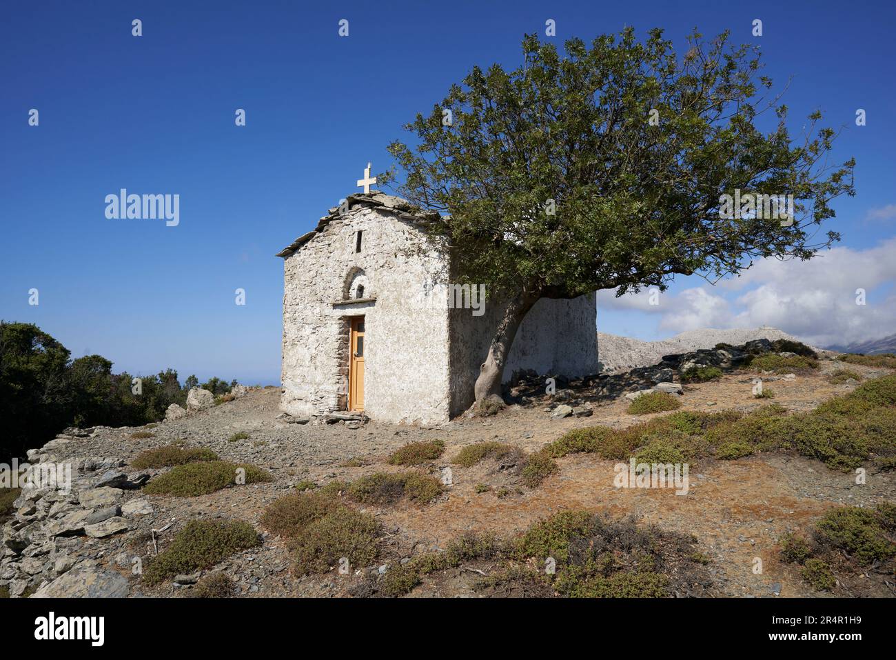 A mountaintop church next to a tree, Ikaria, Greece Stock Photo - Alamy