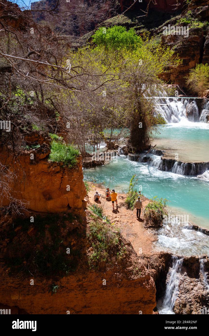 Beaver Falls on Havasu Creek below the campground on a sunny morning ...