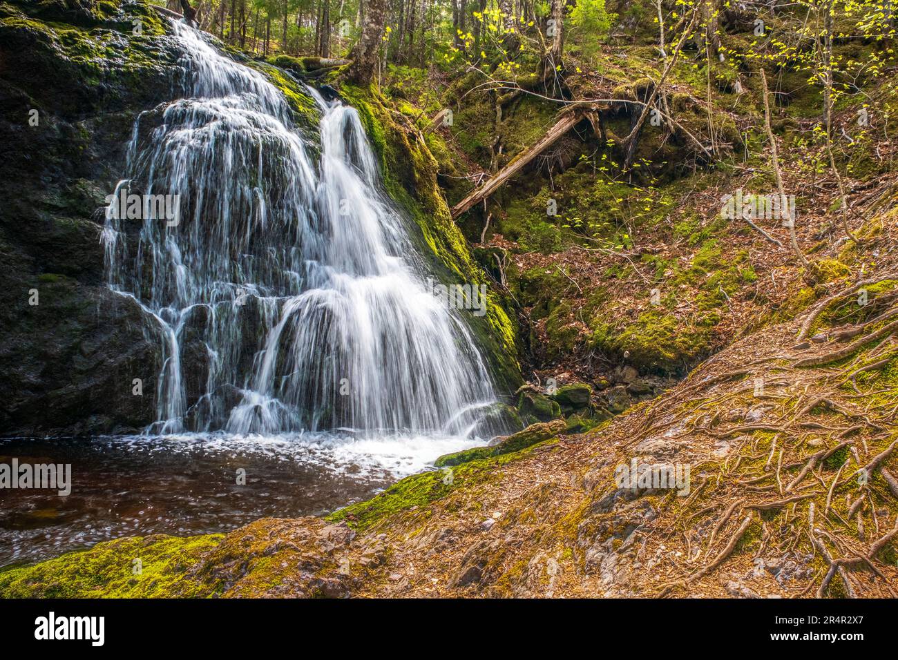 Devils cascade hi-res stock photography and images - Alamy