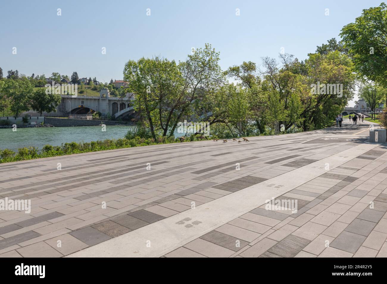 Scenic views along the Bow River pathway area for pedestrians, bicycles ...