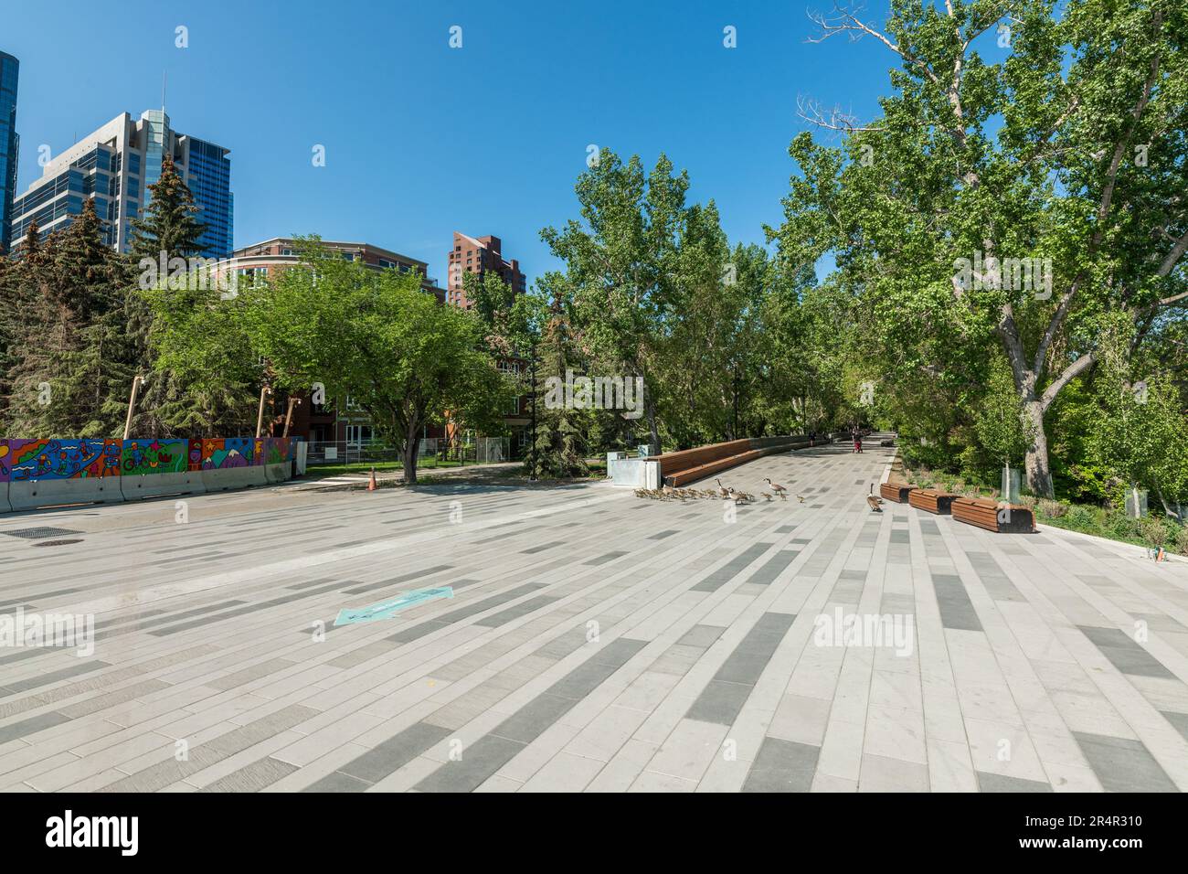 Scenic views along the Bow River pathway area for pedestrians, bicycles ...
