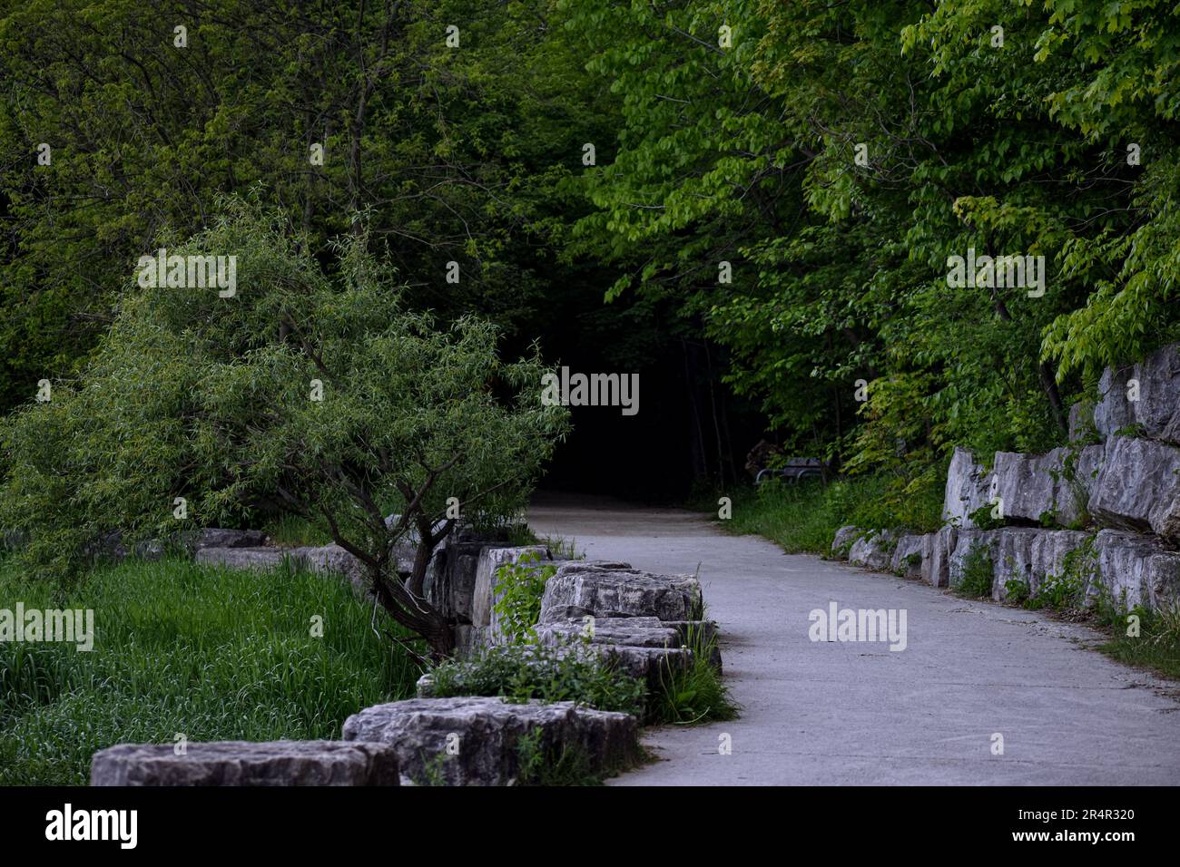 Trail road in wild Stock Photo - Alamy