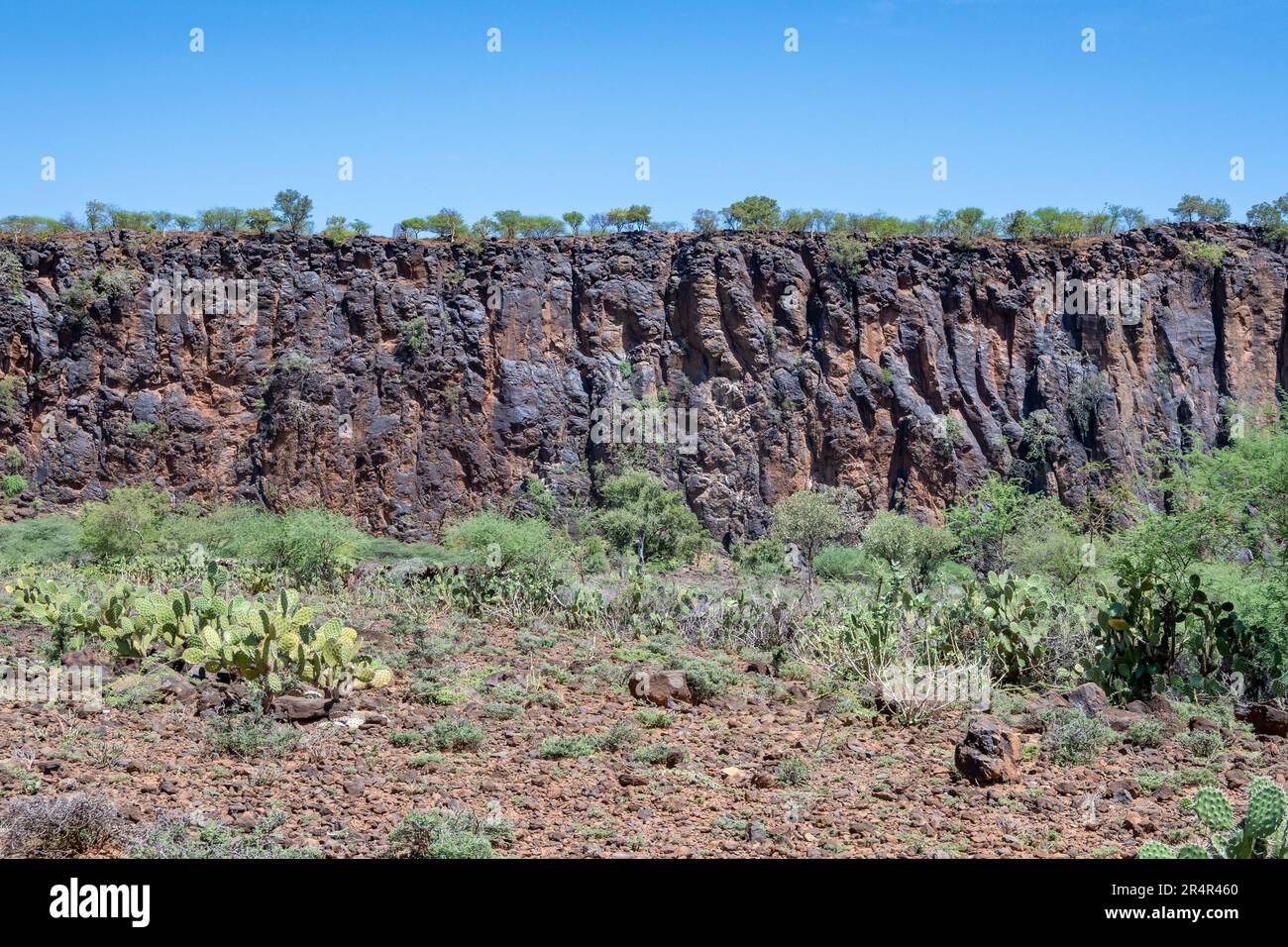 Precambrian metamorphic rocks exposed along East African Rift Valley ...