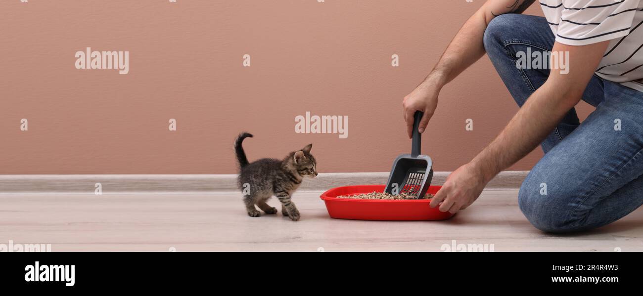 Man cleaning cat litter tray at home, closeup. Banner design with space ...