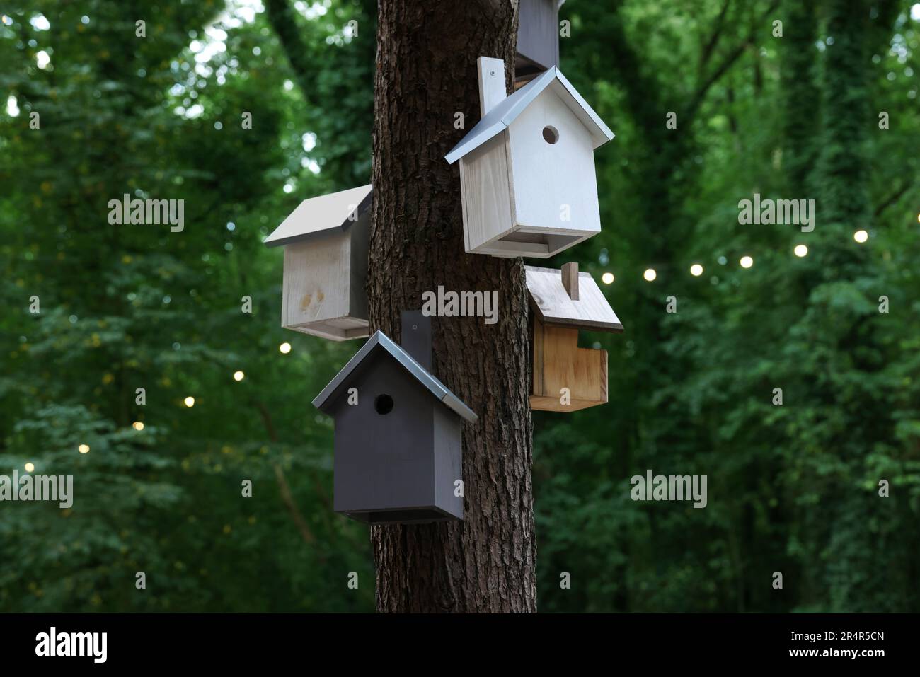 Bird boxes on nature reserve hi-res stock photography and images - Alamy