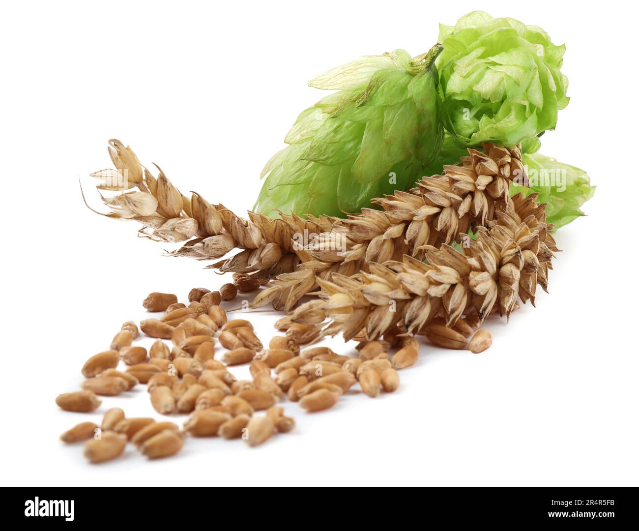 Fresh green wheat spikes hi-res stock photography and images - Alamy