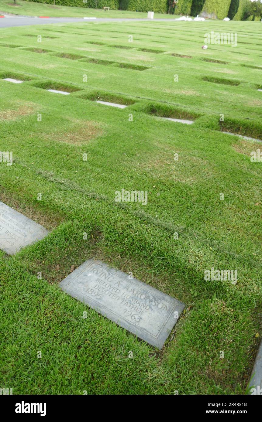 Los Angeles, California, USA 24th May 2023 Jazz Musician Irving ...