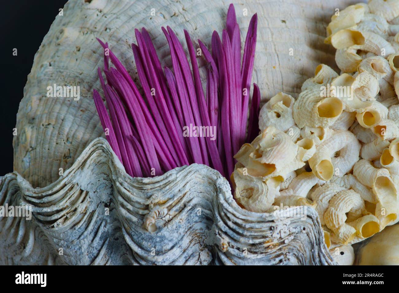 Wavy texture hi-res stock photography and images - Alamy