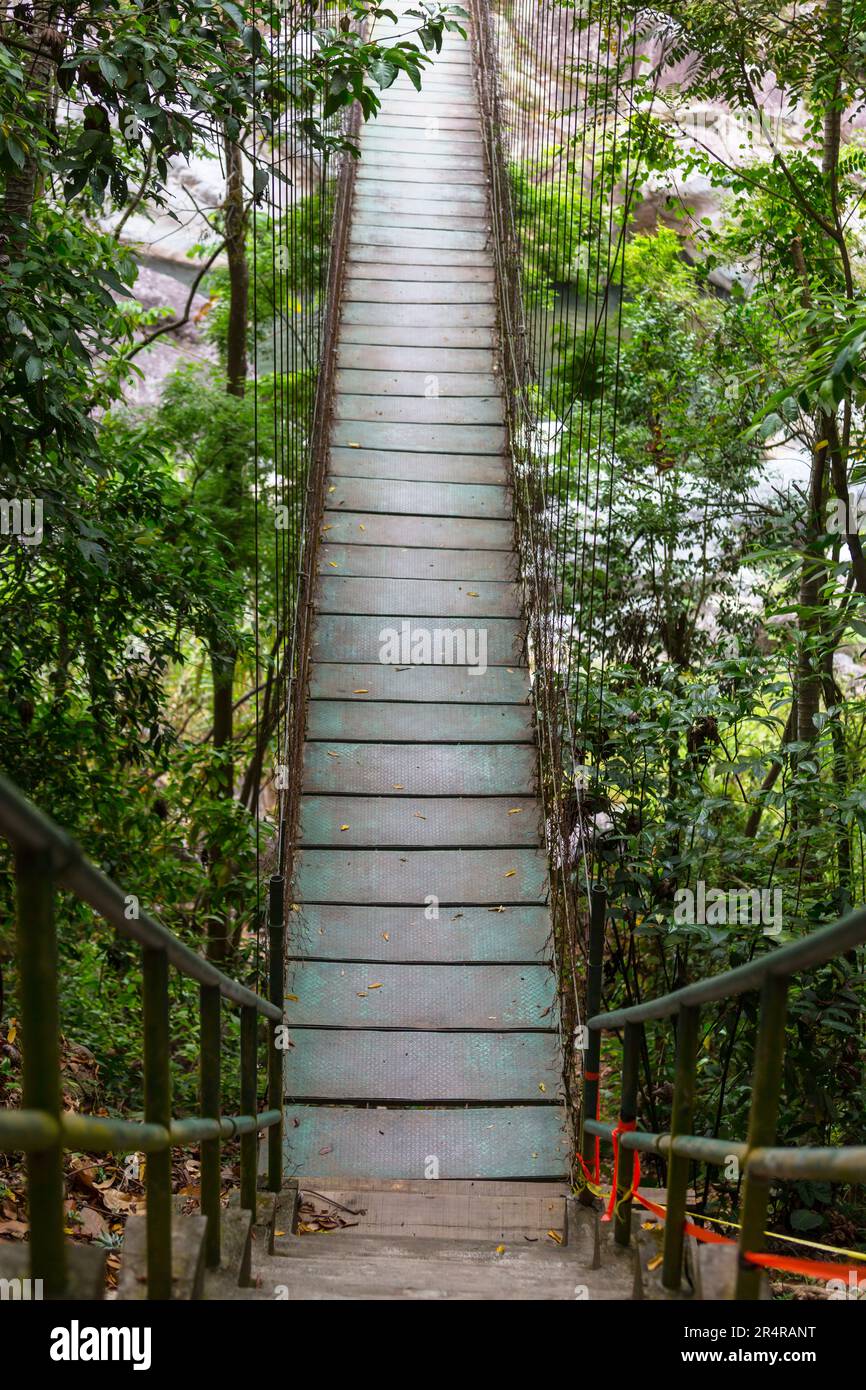 Suspension bridge in tropical jungle Stock Photo - Alamy