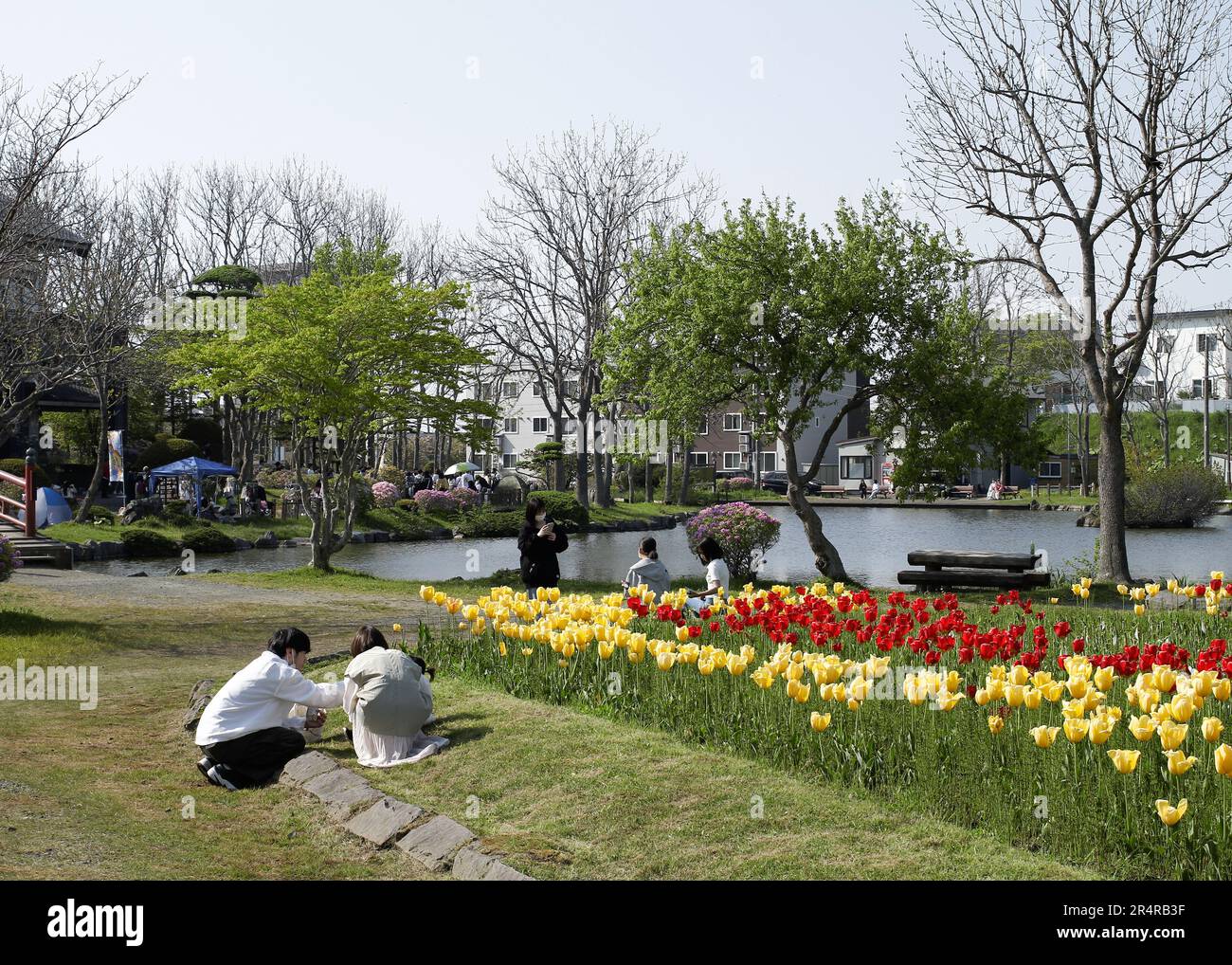 kushiro, hokkaido, japan, 2023/11/05 , Landscape of the city of Kushiro ...