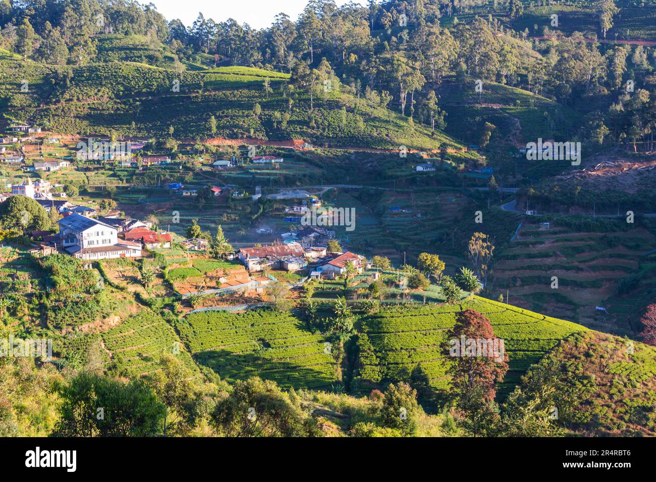 traditional village on Sri Lanka Stock Photo - Alamy