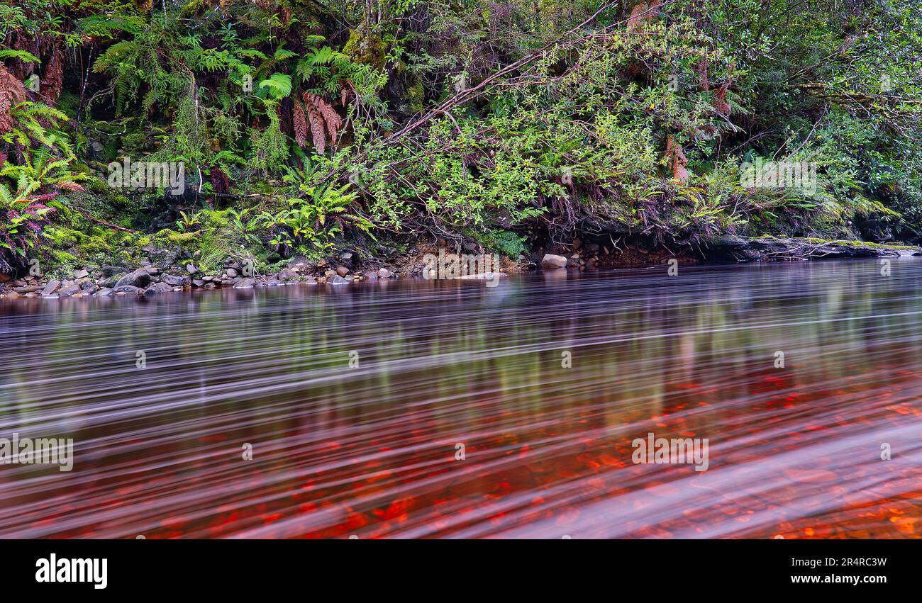 Long exposure image showing white lines along the the tannin stained ...