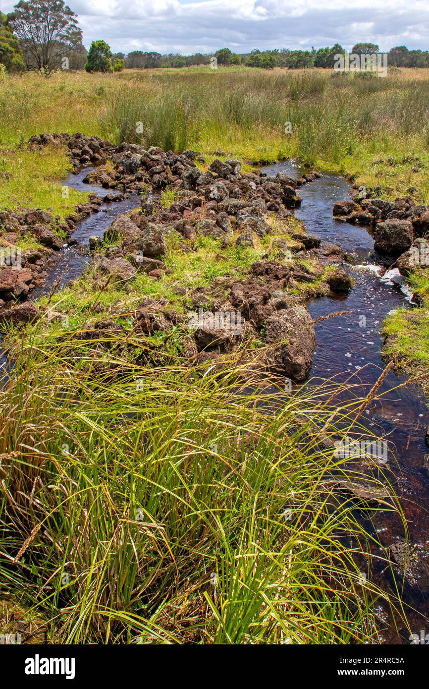 Eel channels built by the Gunditjmara people in the Budj Bim Cultural ...
