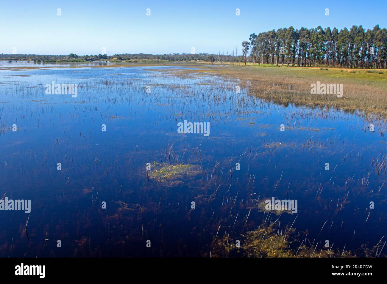 Lake Condah (Tae Rak), part of the World Heritage-listed Budj Bim ...