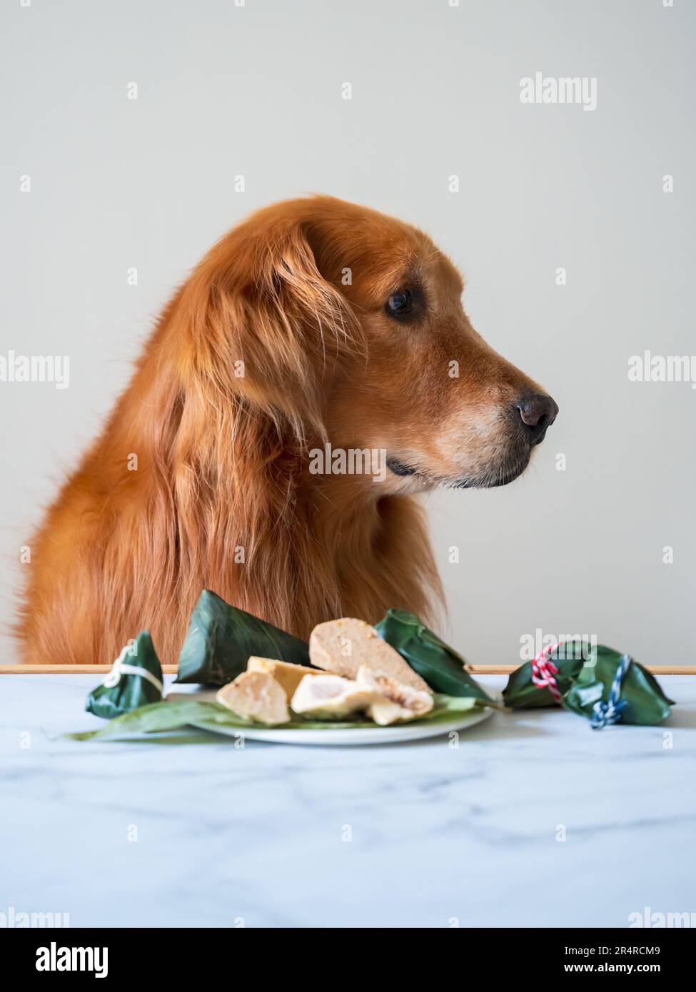 Golden retriever and rice dumplings on the table Stock Photo - Alamy