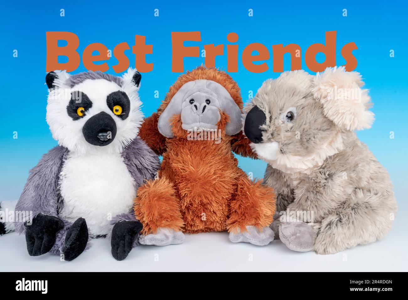 Three friendly stuffed animals (Atlantic Puffin, Orangutan and Koala ...
