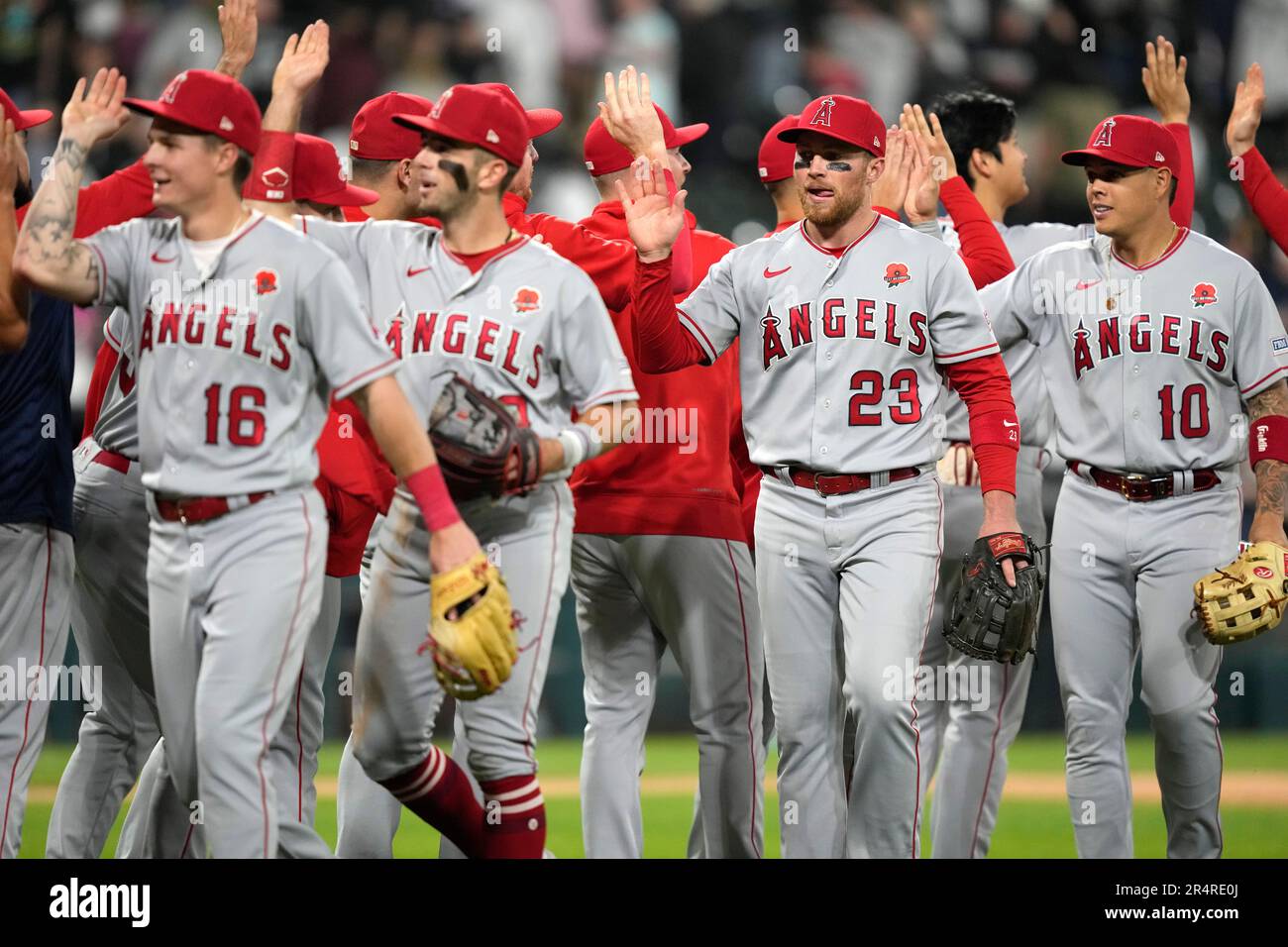 The Los Angeles Angels celebrate the team's 6-4 win over the Chicago ...