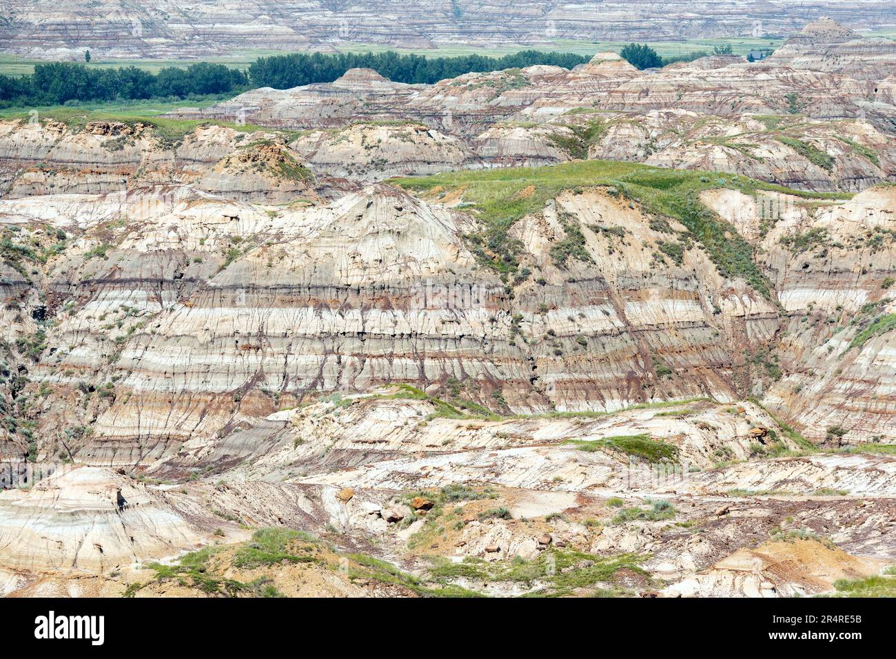 Badlands rock strata of Drumheller Valley, Dinosaur provincial park ...
