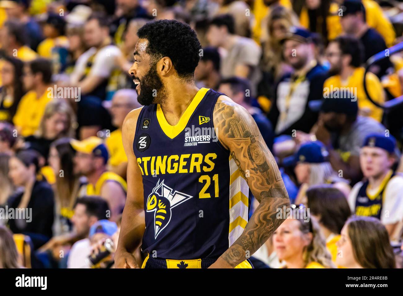 Peter mcneilly hi-res stock photography and images - Alamy